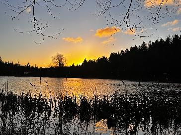 Trowbridge - BBC Weather