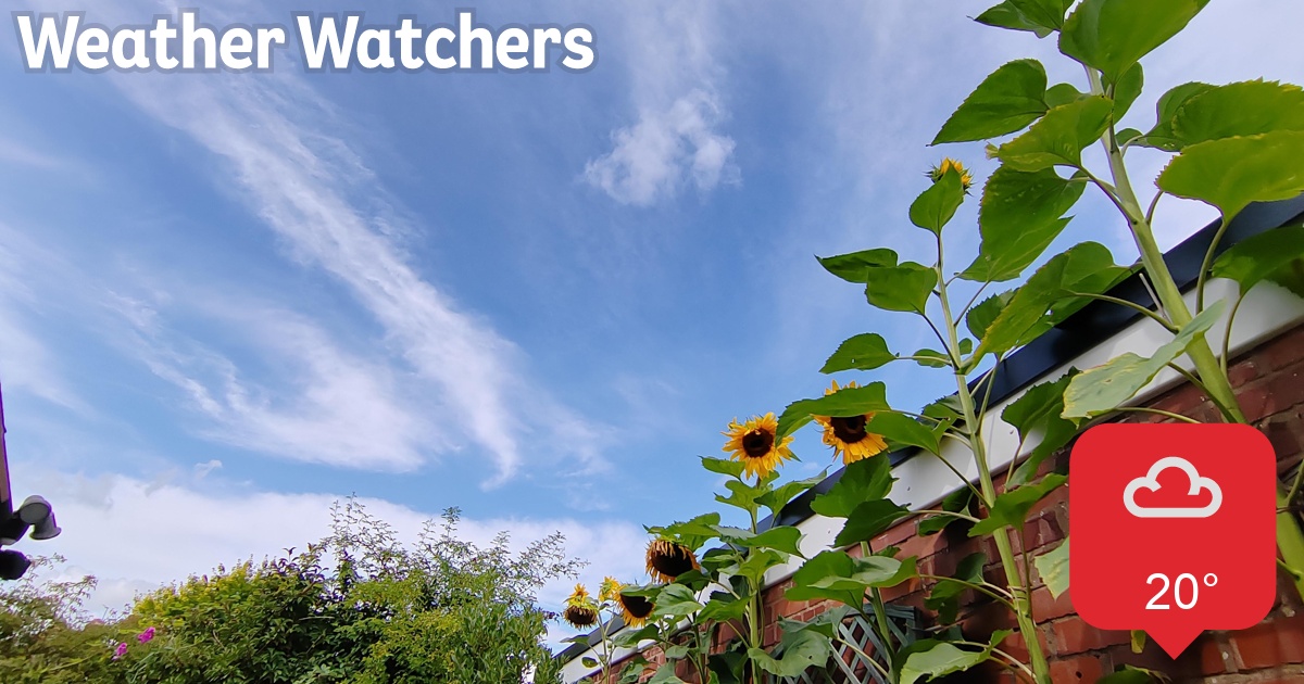 Report - BBC Weather Watchers