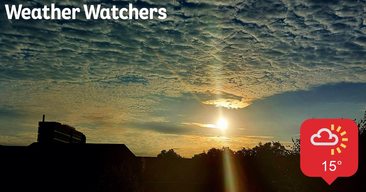 Report - BBC Weather Watchers
