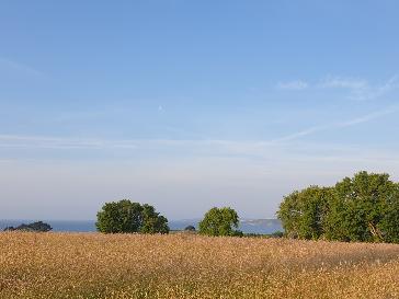 Penzance - BBC Weather