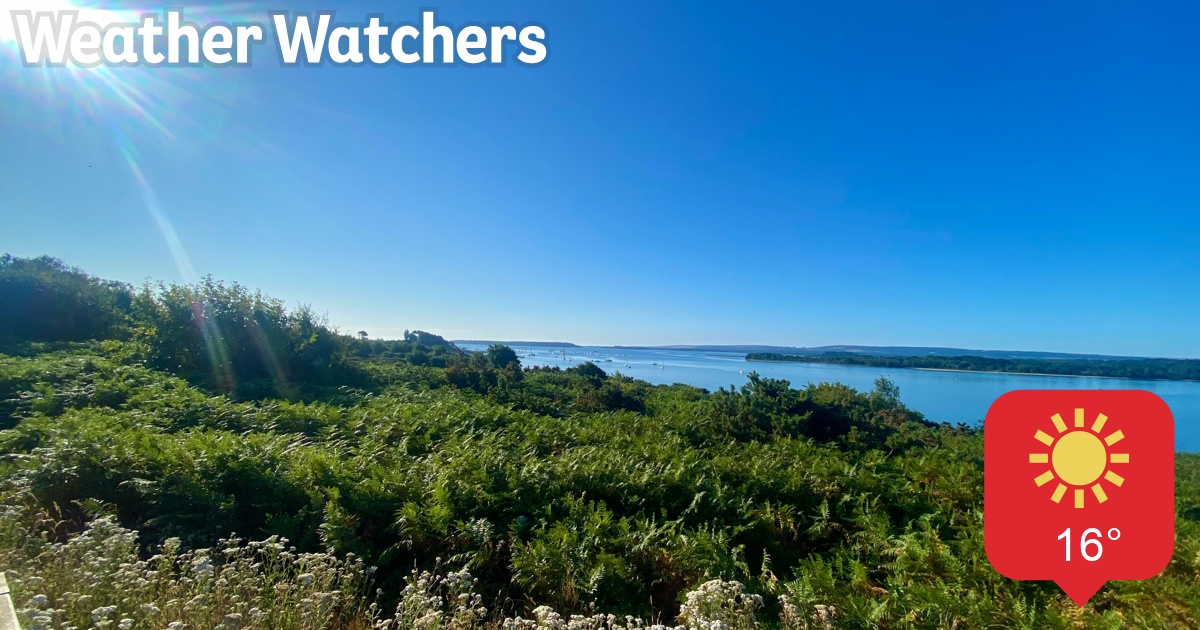 Report - BBC Weather Watchers