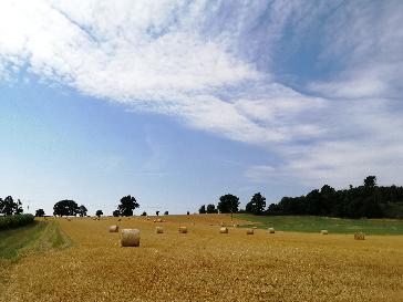 Evesham - BBC Weather