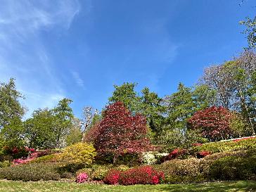 Staines-upon-Thames - BBC Weather