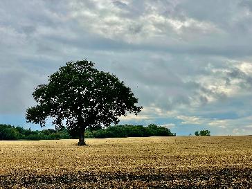Staines-upon-Thames - BBC Weather