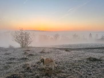 Gloucester - BBC Weather