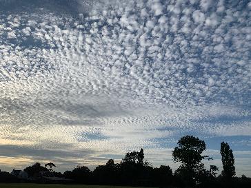 Crawley - BBC Weather