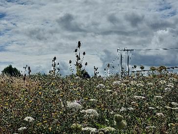 Worcester - BBC Weather
