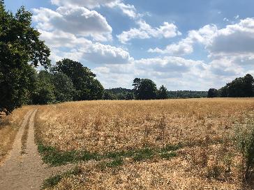London - BBC Weather