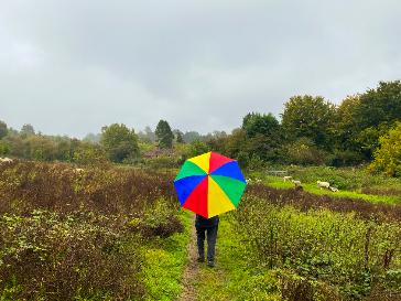 Ashford - BBC Weather