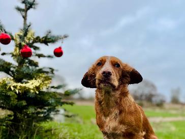 Mildenhall - BBC Weather