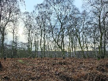 Audley - BBC Weather