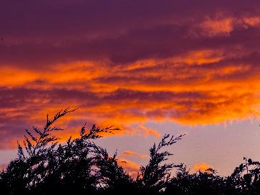 Armagh - BBC Weather