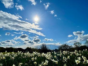 Birmingham - BBC Weather