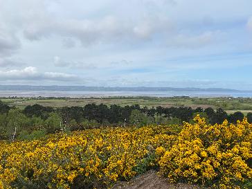 Runcorn - BBC Weather