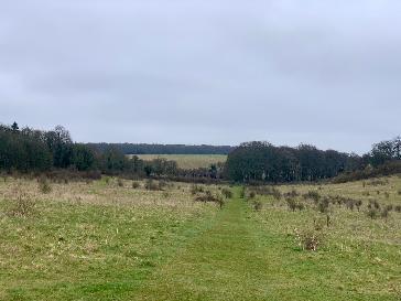 Basingstoke - BBC Weather