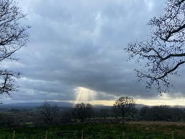 Belfast - BBC Weather