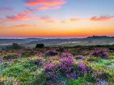 Basingstoke - BBC Weather