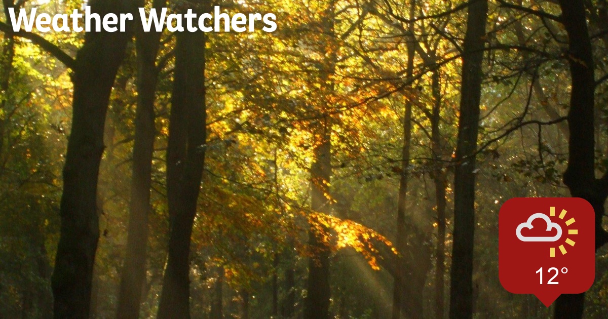 Report - BBC Weather Watchers