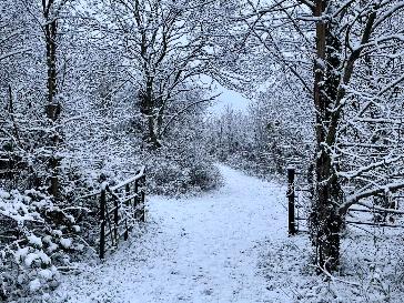 Bristol - BBC Weather