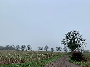 Stamford - BBC Weather