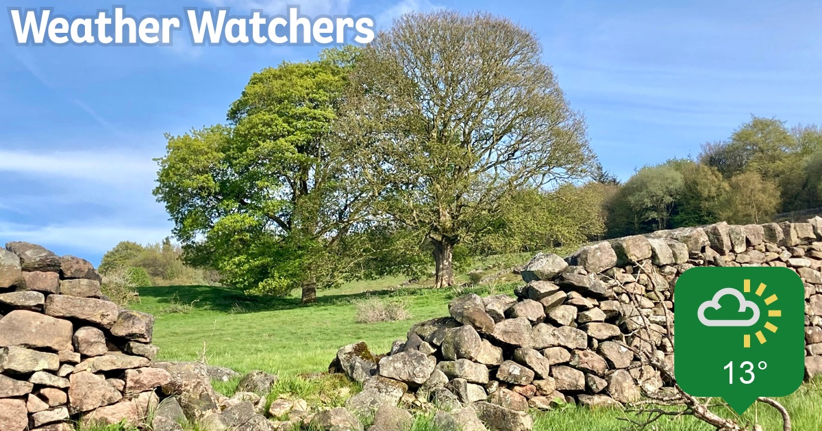 Report - BBC Weather Watchers