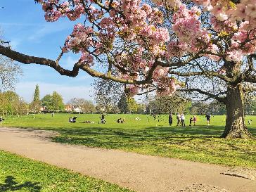 Bromley - BBC Weather