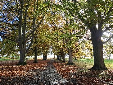 Crawley - BBC Weather