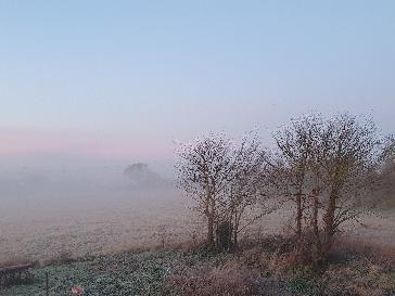 Basildon - BBC Weather