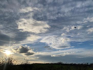 Brampton - BBC Weather