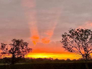 Upper Basildon - BBC Weather