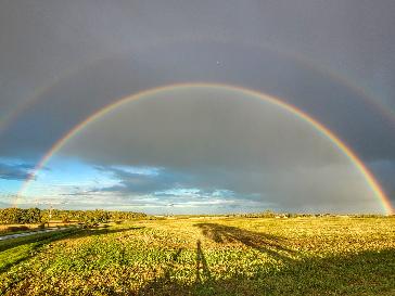 Lincoln - BBC Weather