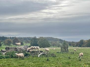 Redditch - BBC Weather