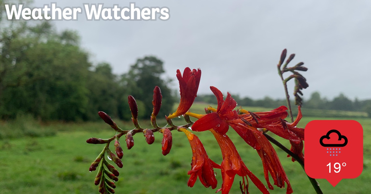 Report - BBC Weather Watchers