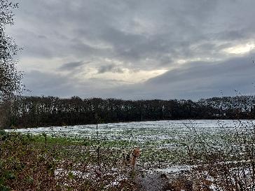 Widnes - BBC Weather