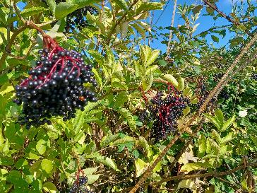 Southampton - BBC Weather