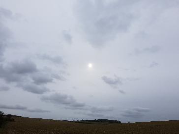 Basildon - BBC Weather