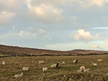 Peterhead - BBC Weather
