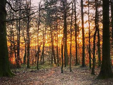 Congleton - BBC Weather