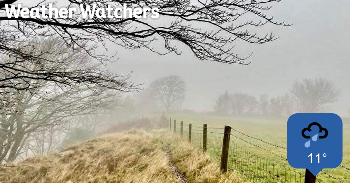 Report - BBC Weather Watchers