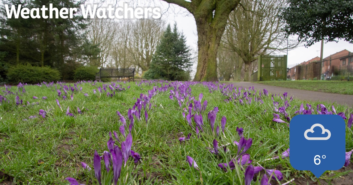 Report - BBC Weather Watchers