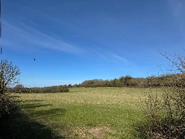 Basingstoke - BBC Weather