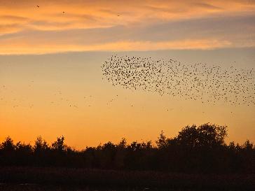 Worksop - BBC Weather
