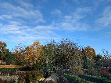 Sutton Coldfield - BBC Weather