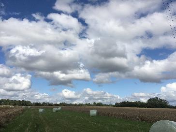 Warrington - BBC Weather