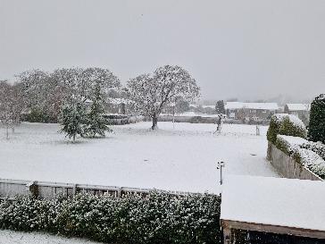 Cupar - BBC Weather