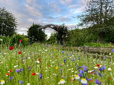 Doncaster - BBC Weather