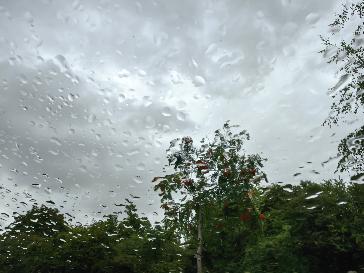 Bargoed - BBC Weather