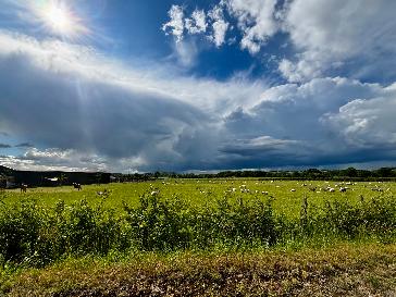 Exhall - BBC Weather