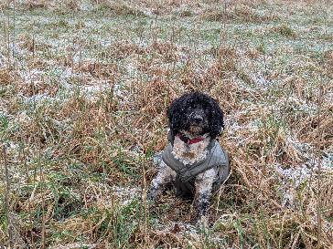 Witham - BBC Weather