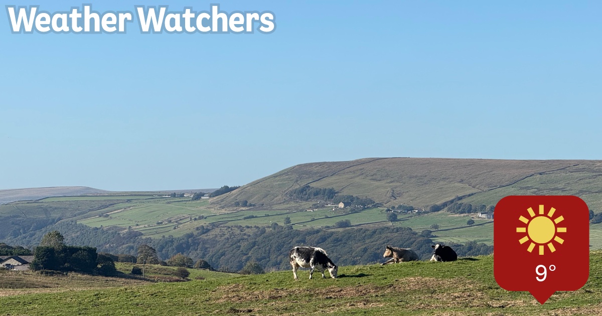 Report - BBC Weather Watchers
